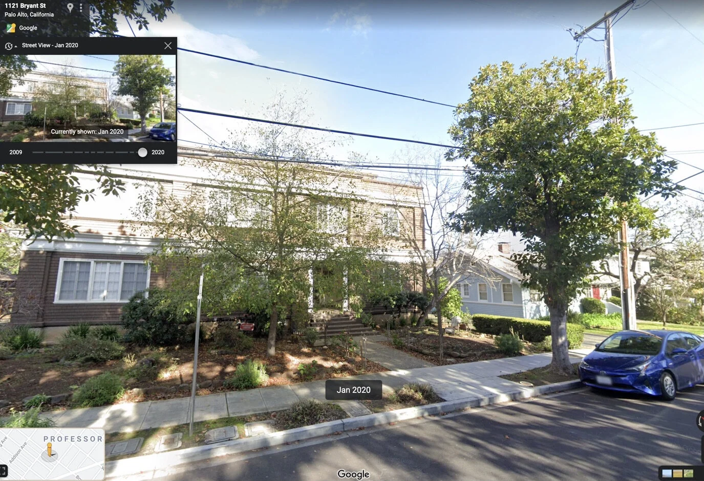 Compton Oak Quercus x comptomiae — Oaktopia