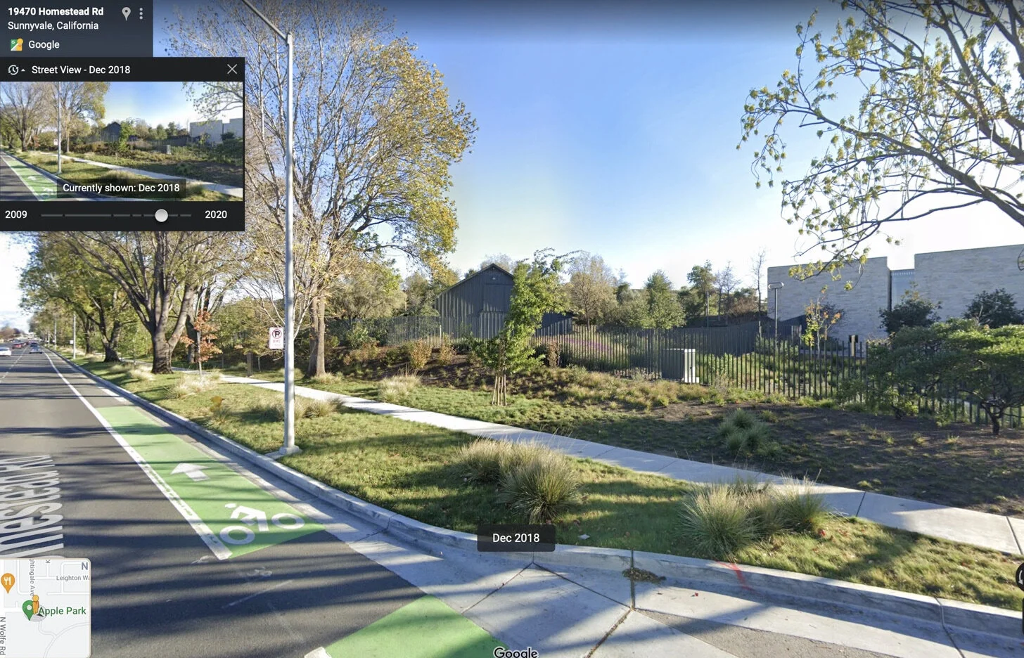 Chisos Red Oak Quercus gravesii — Oaktopia