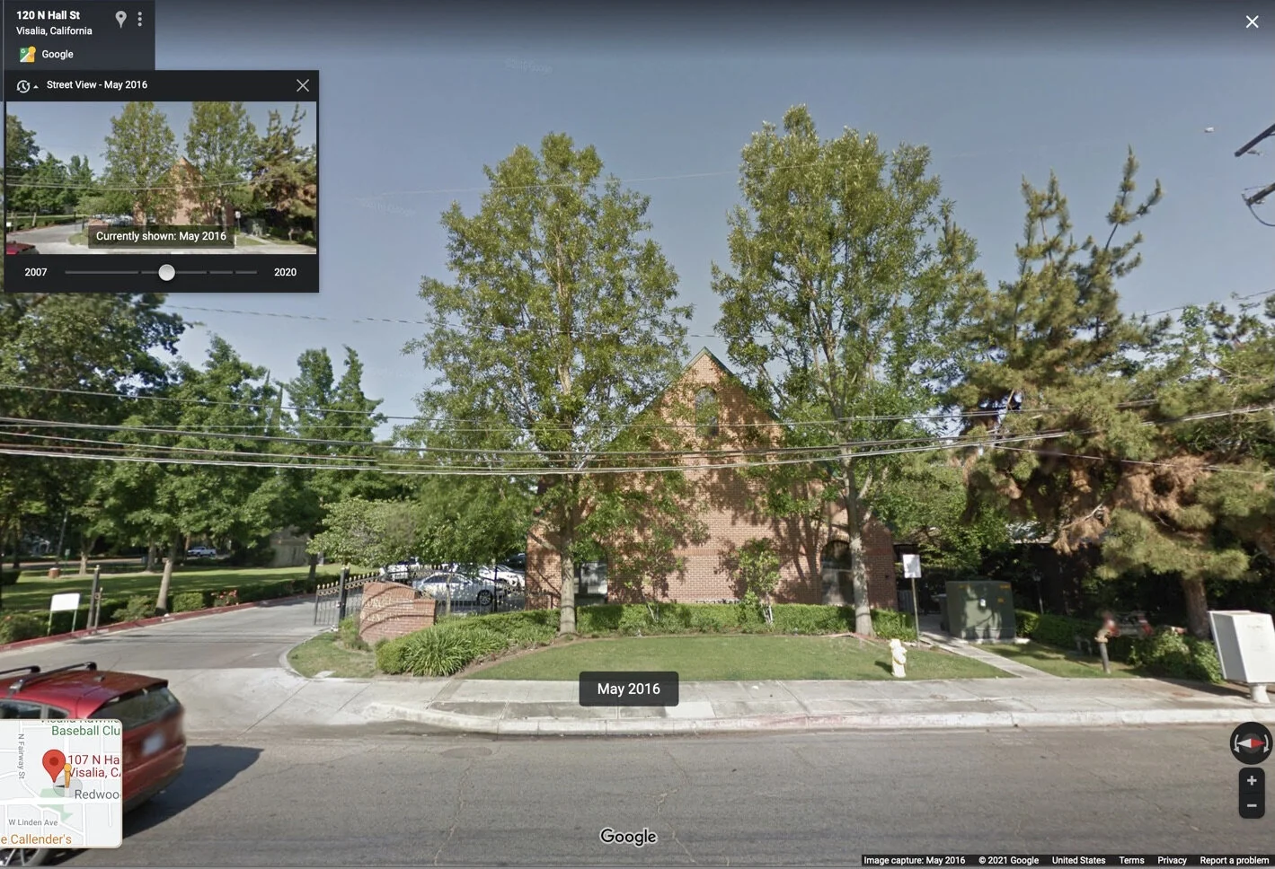 Compton Oak Quercus x comptomiae — Oaktopia