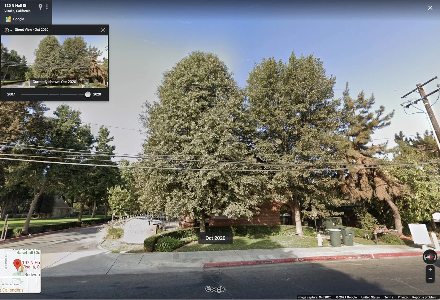 Compton Oak Quercus x comptomiae — Oaktopia