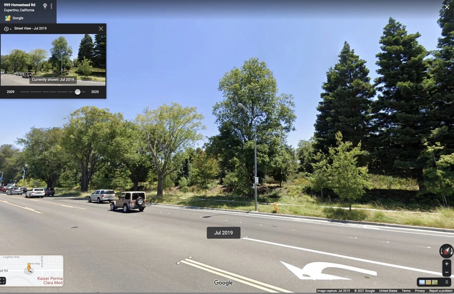 Mexican Red Oak Quercus canbyi — Oaktopia