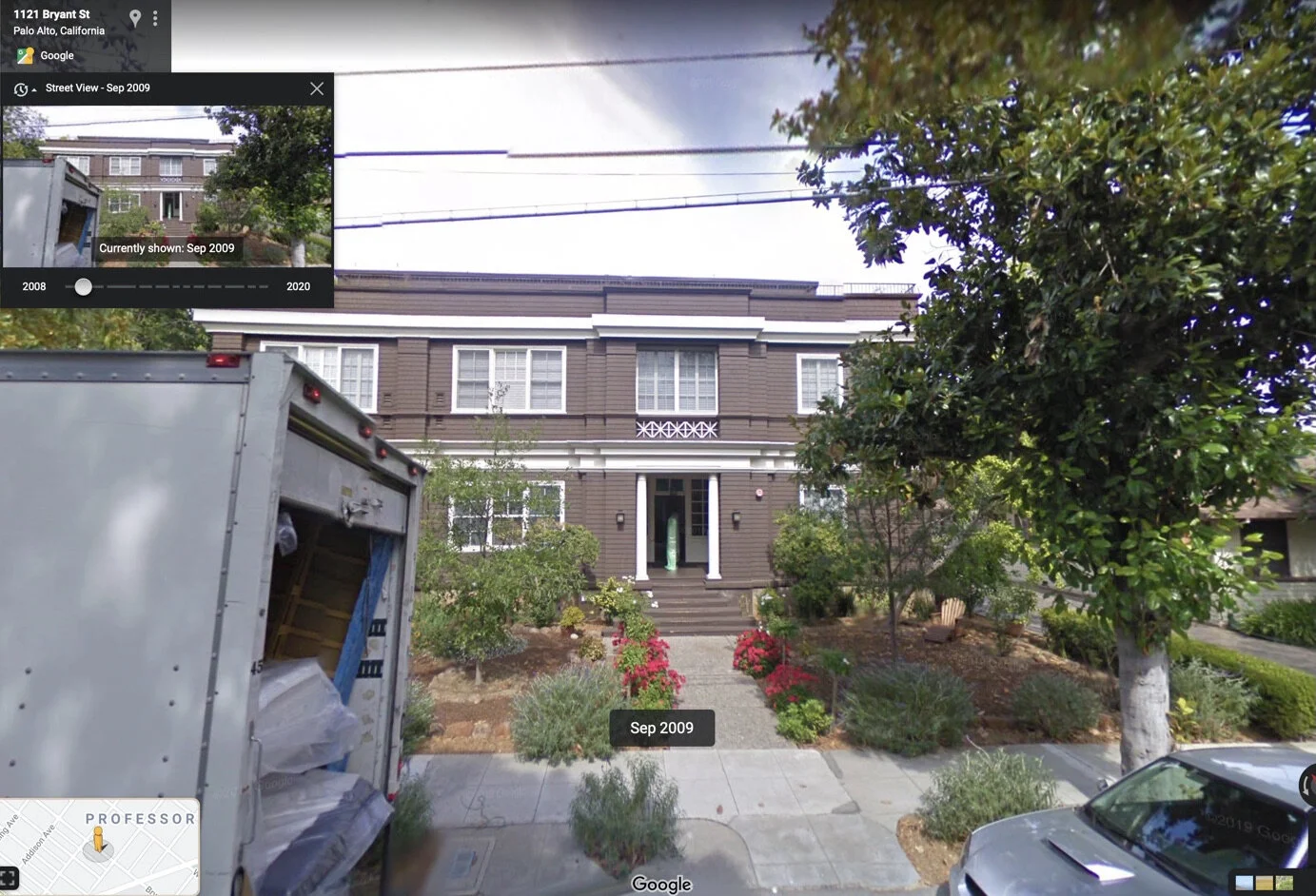 Compton Oak Quercus x comptomiae — Oaktopia