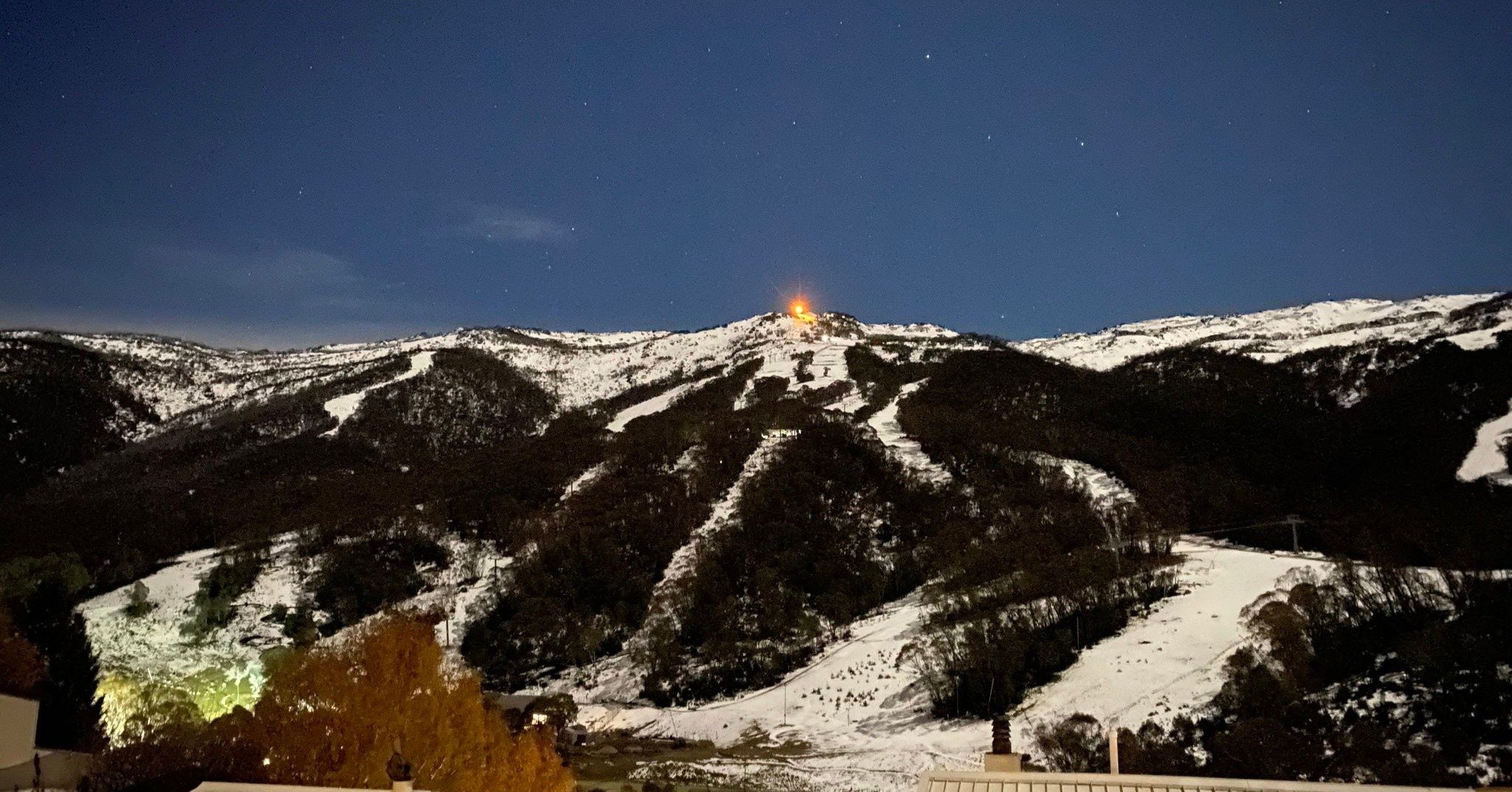 Menu — T Bar Restaurant