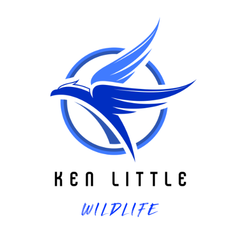 Ken Little Blog