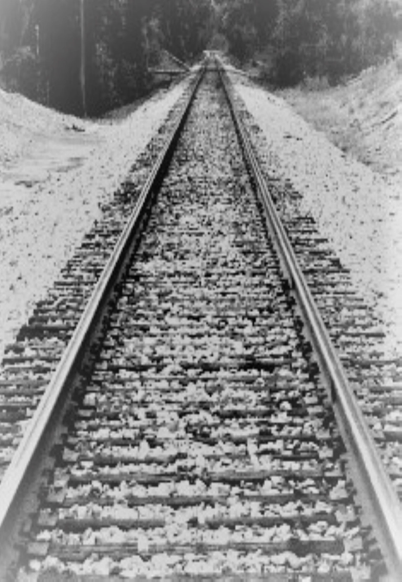 Ruminations and Reflections — Greg Dinner