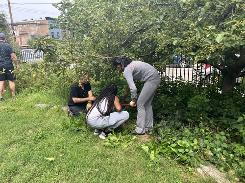 The Bridge Way School