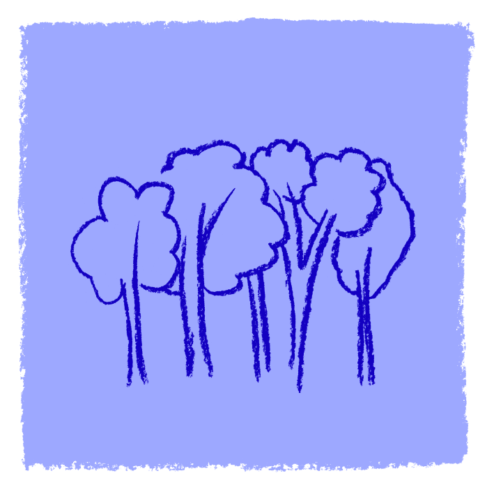 About Us — SECE Mind