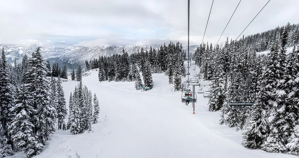 Alpine — ENVIRONMENTAL ARTIST