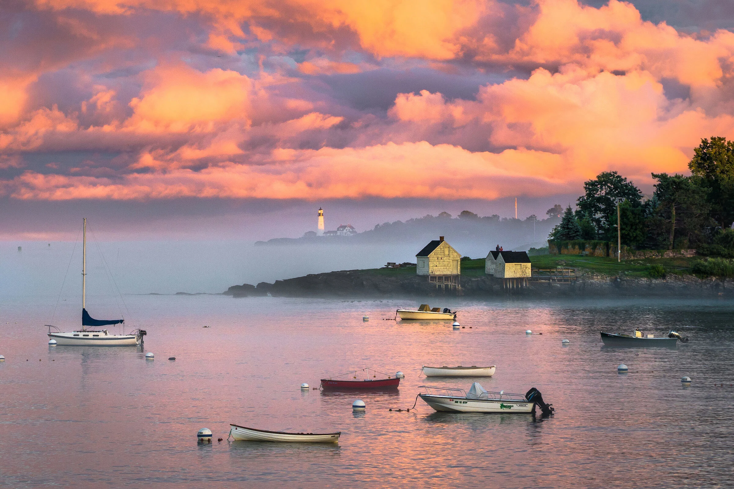 Benjamin Williamson Photography