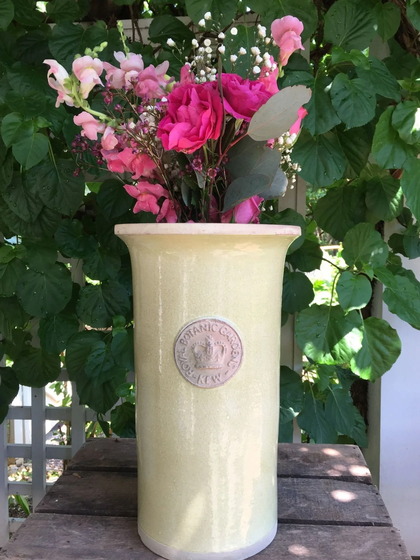 Kew Pottery — Botanical Collections