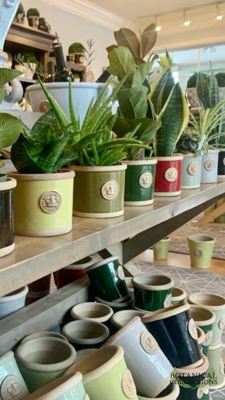 Botanical Collections