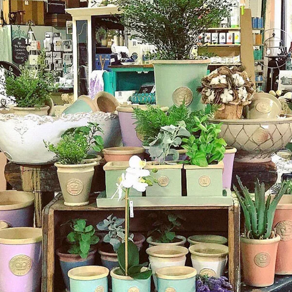 Botanical Collections