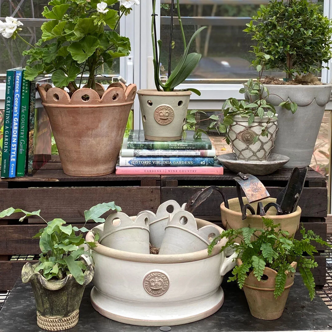 Botanical Collections