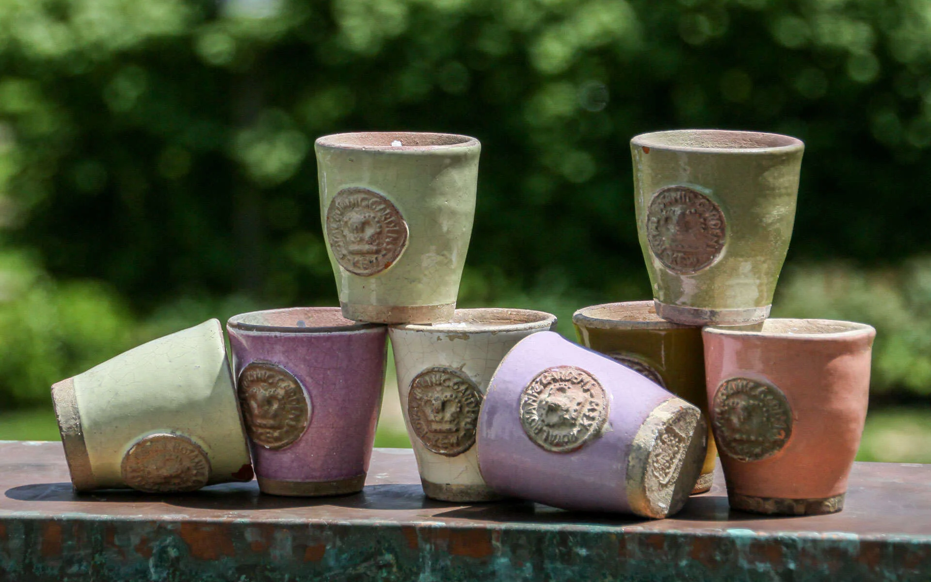 Kew Pottery — Botanical Collections