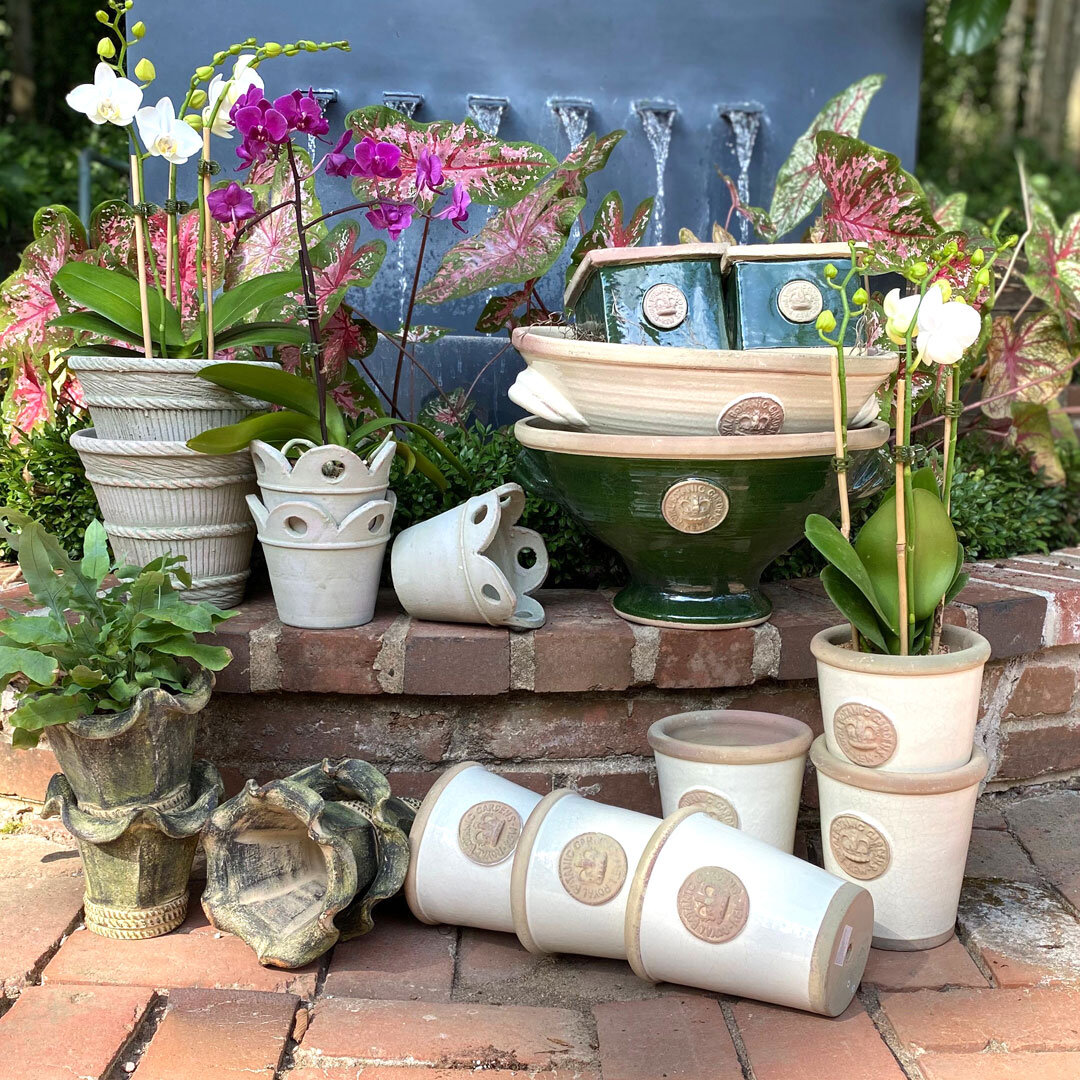 Botanical Collections