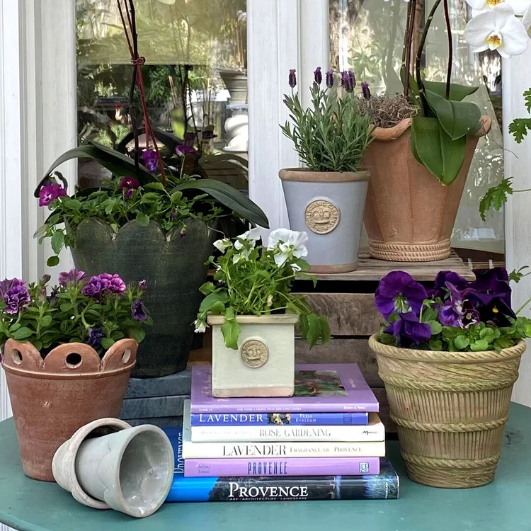 Botanical Collections