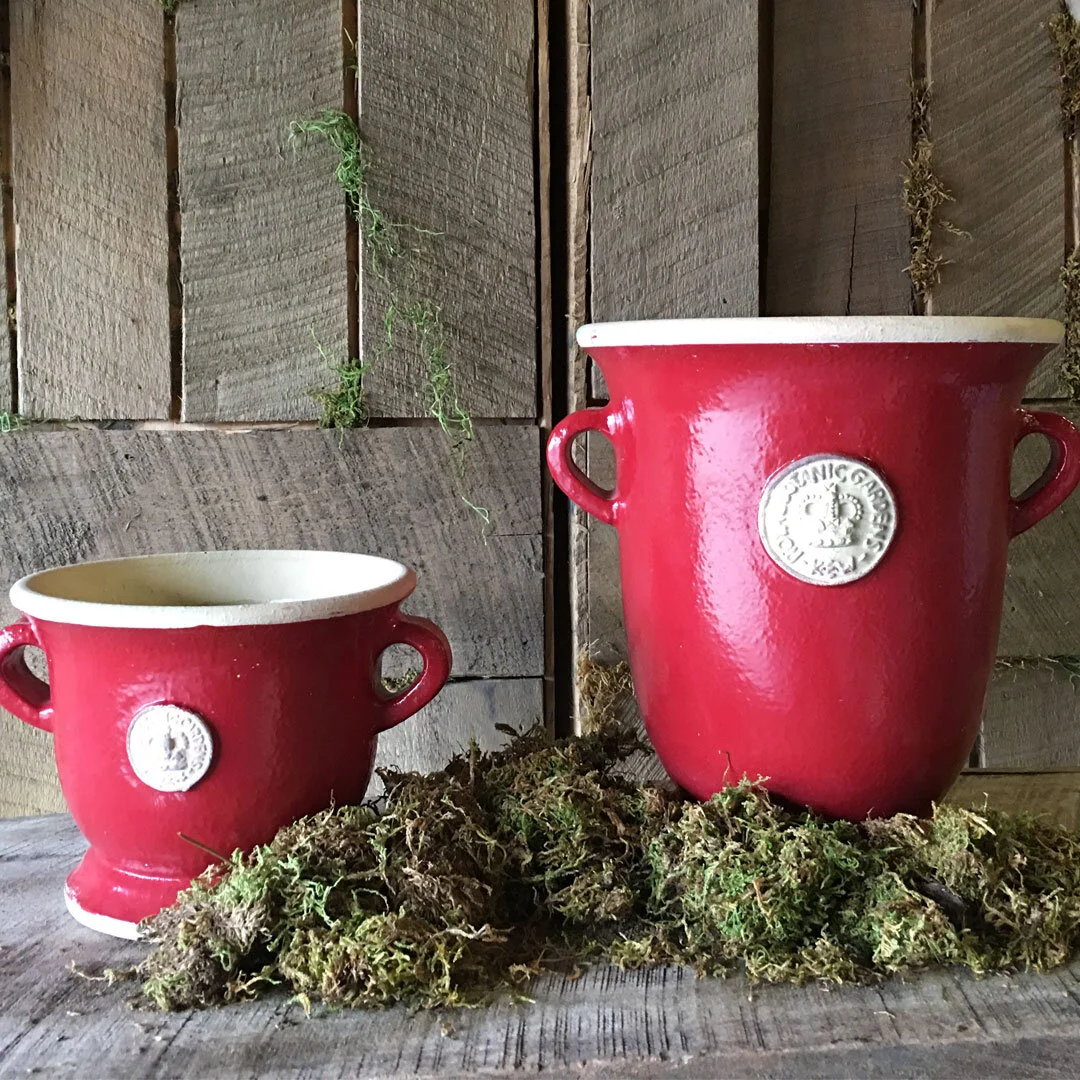 Botanical Collections