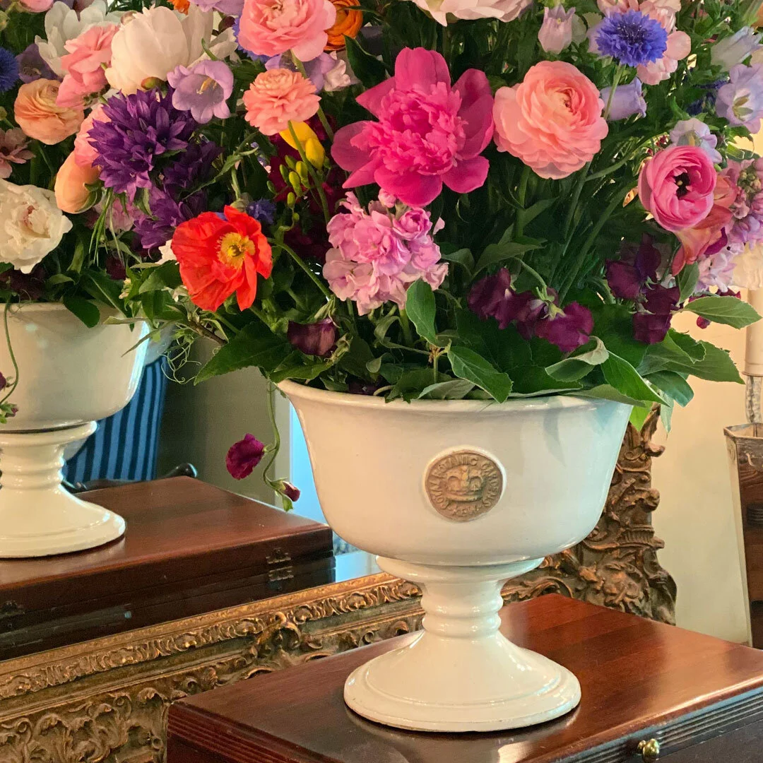 Botanical Collections