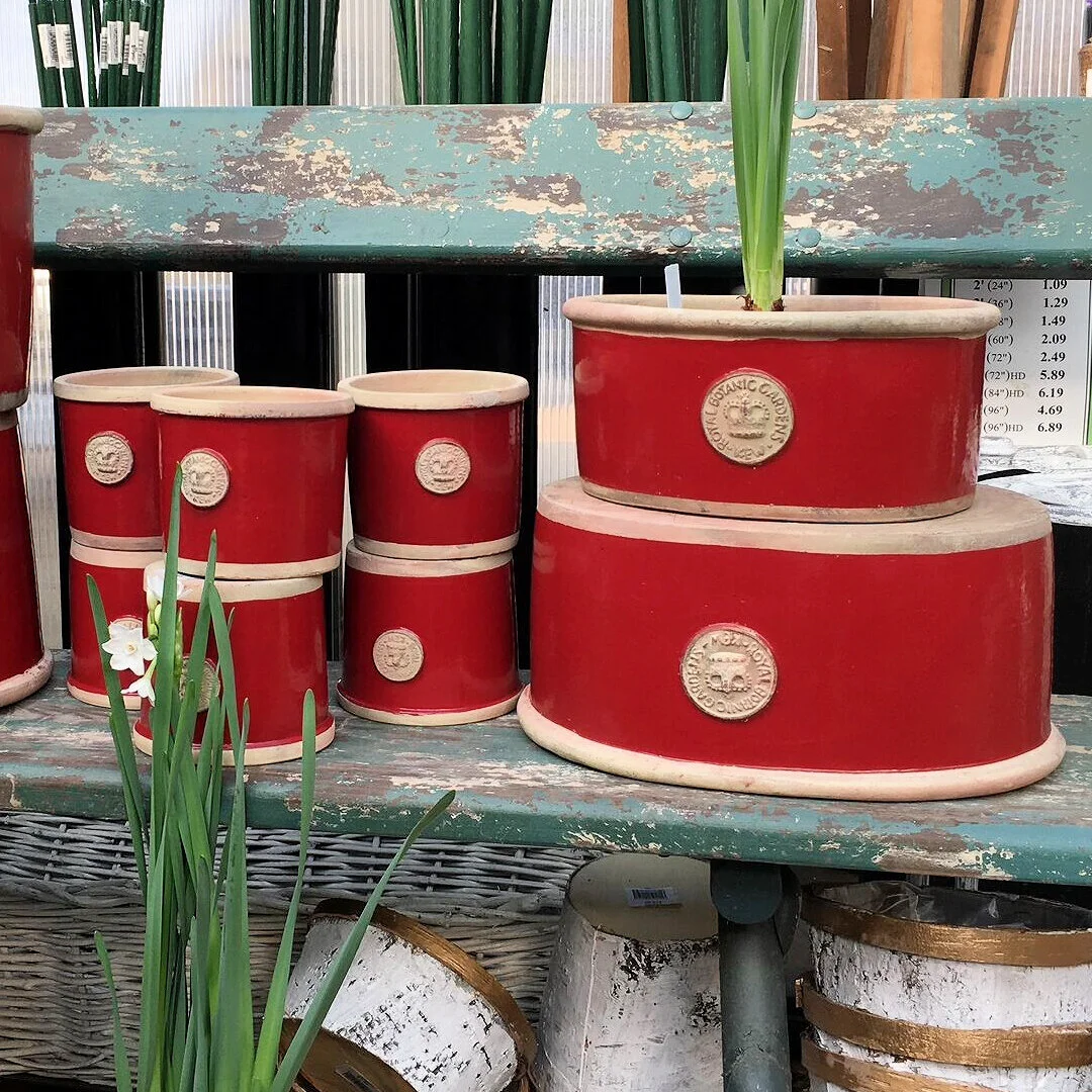 Botanical Collections