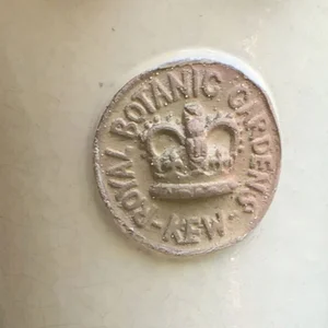 Kew Pottery — Botanical Collections