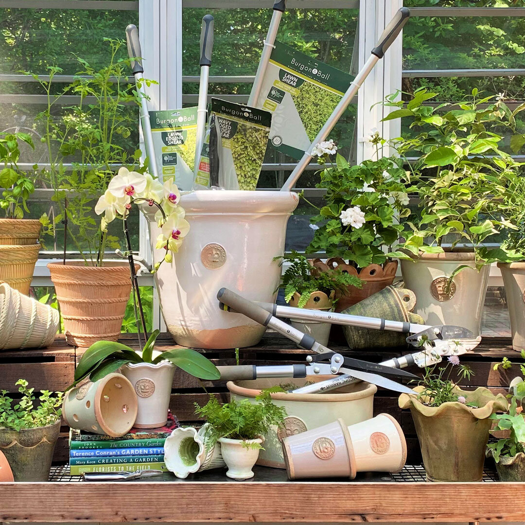 Botanical Collections