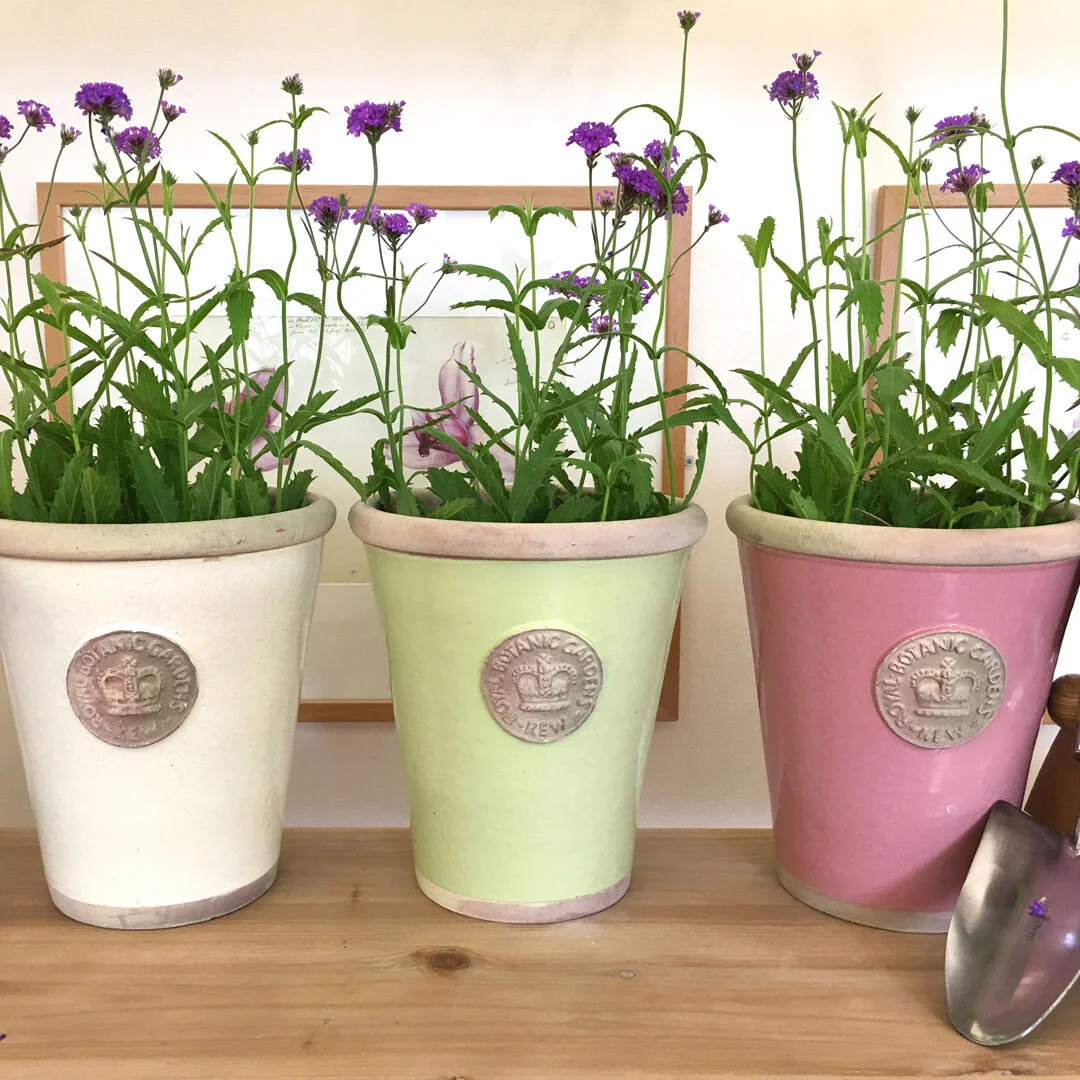 Botanical Collections