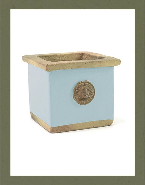 Botanical Collections