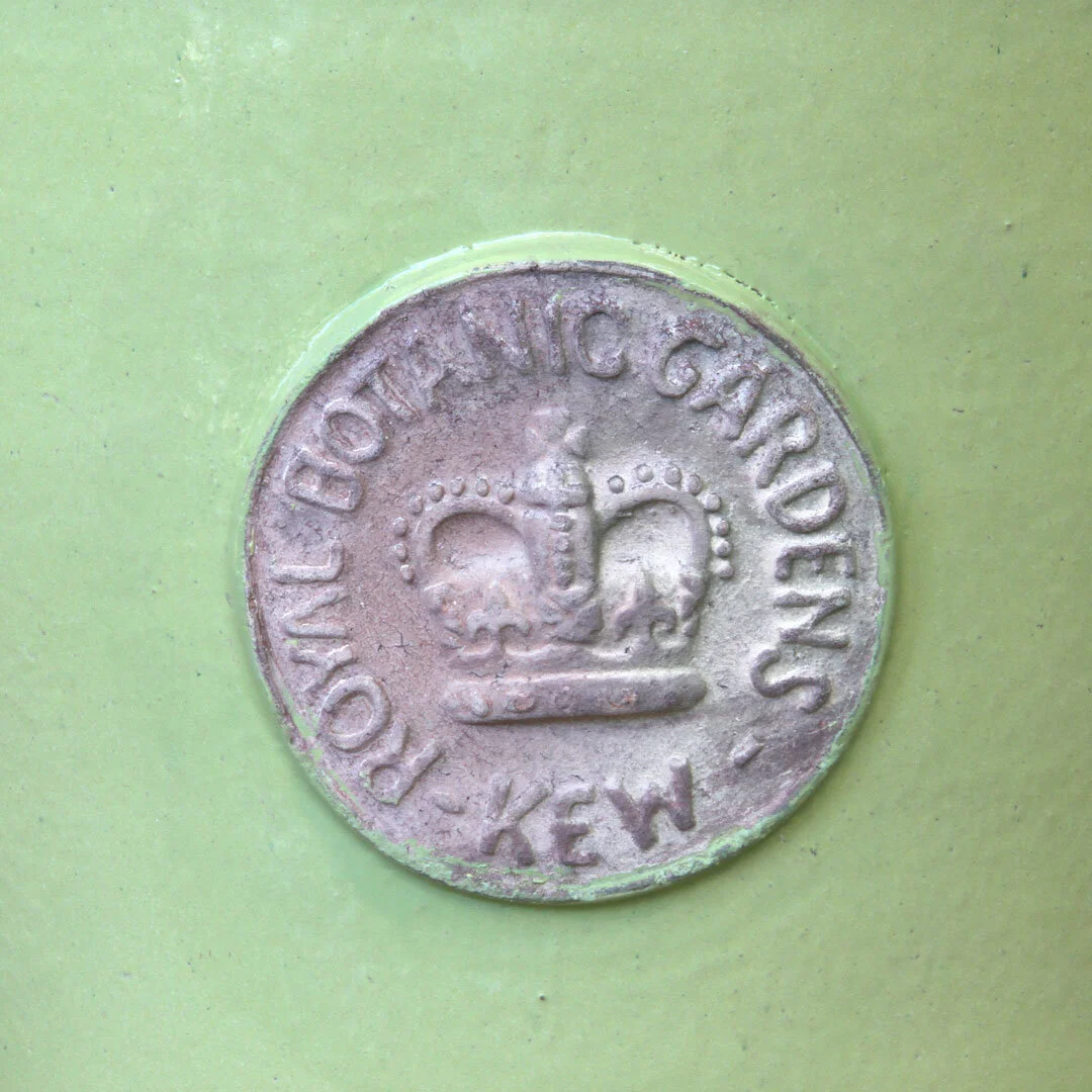 Kew Pottery — Botanical Collections