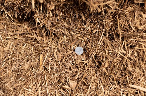 Mulch For Sale - Adkins Materials in San Antonio, TX — Adkins Materials