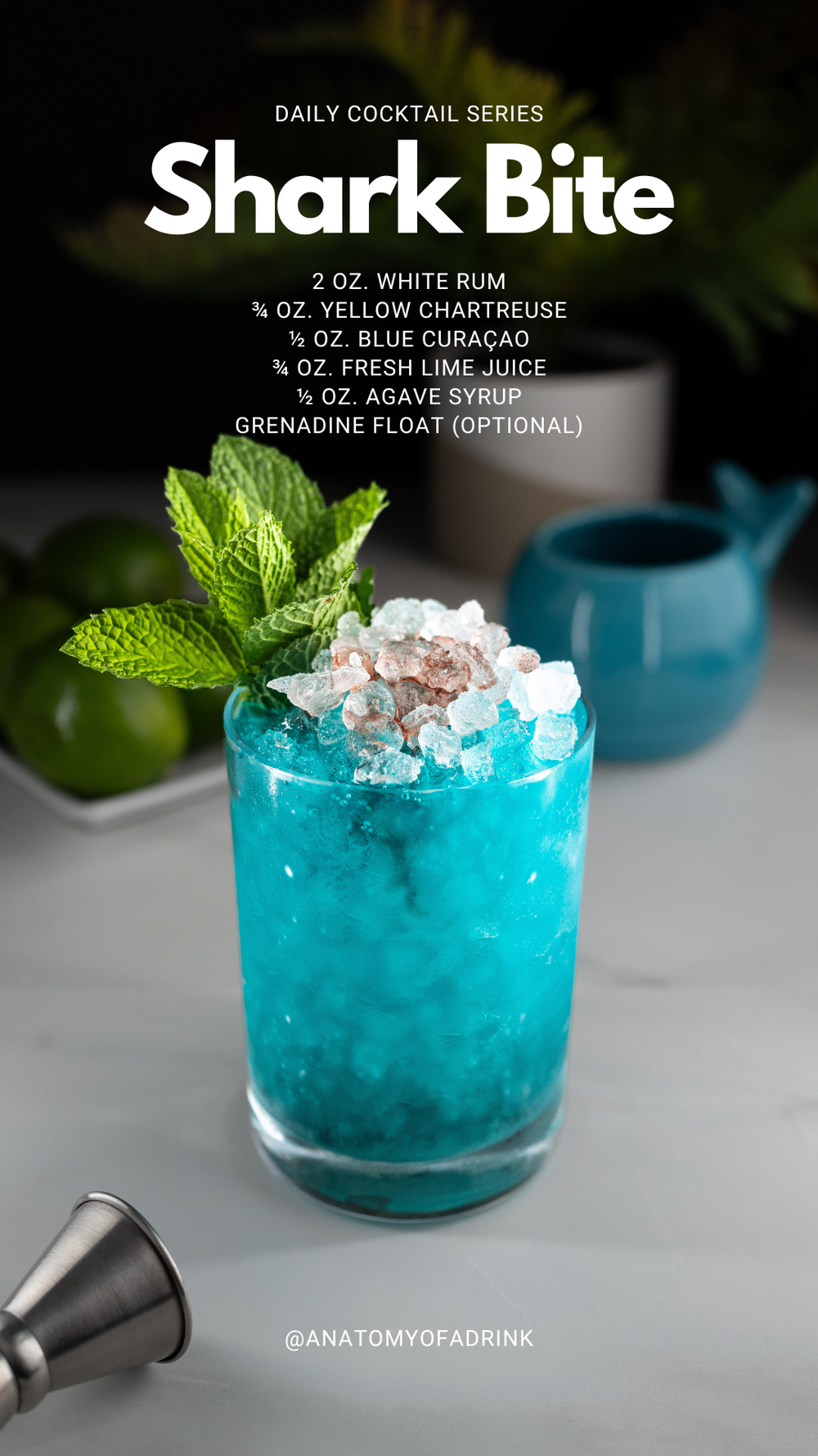 Shark Bite — Daniel E. Zajic