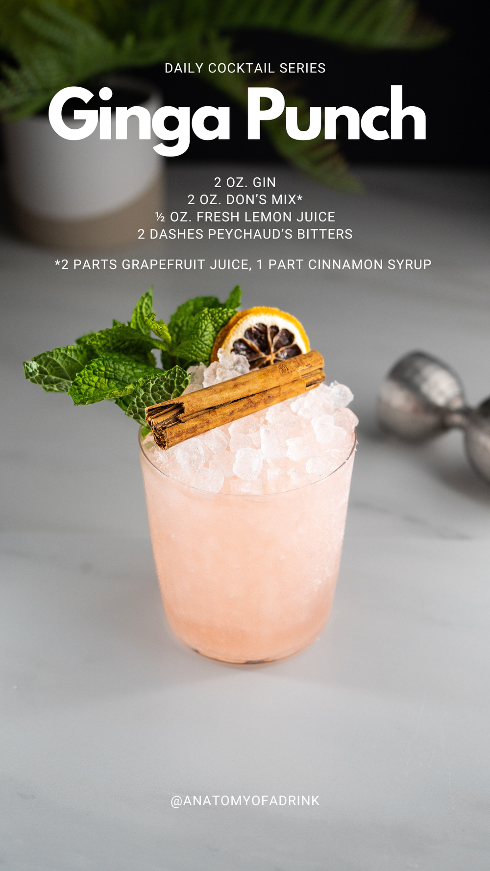 Ginga Punch — Daniel E. Zajic