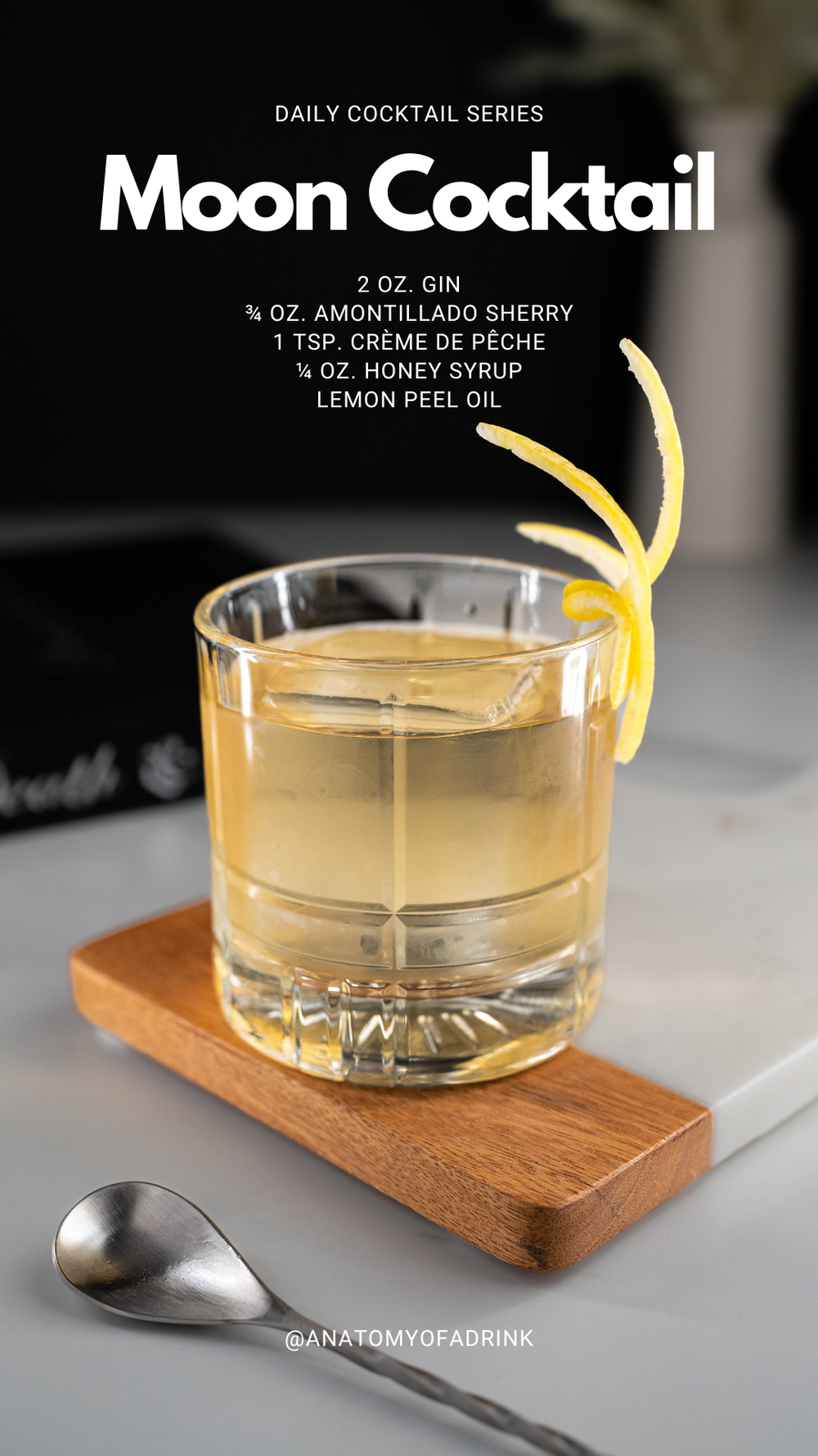 Moon Cocktail — Daniel E. Zajic