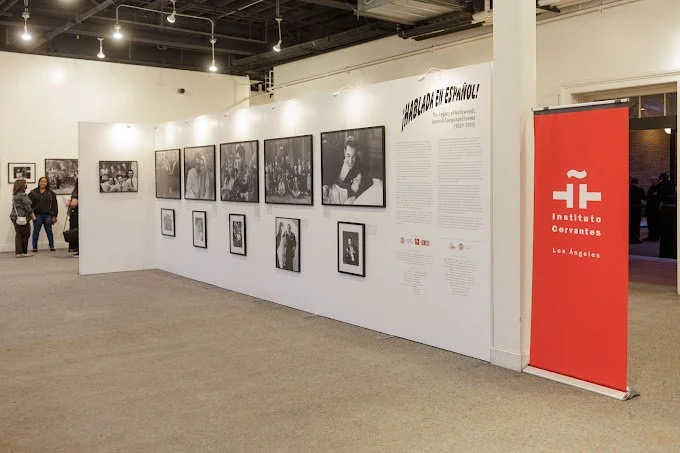 Mobile Gallery / Moveable Walls / Portable Display Walls — Always Lucky ...