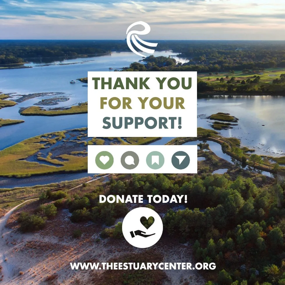 The Estuary Center