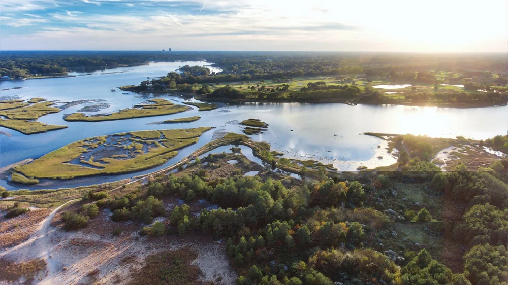 The Estuary Center