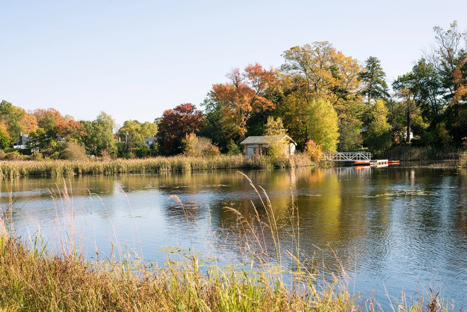 Favorite Fall Activities for Families in the South Shore Boston ...