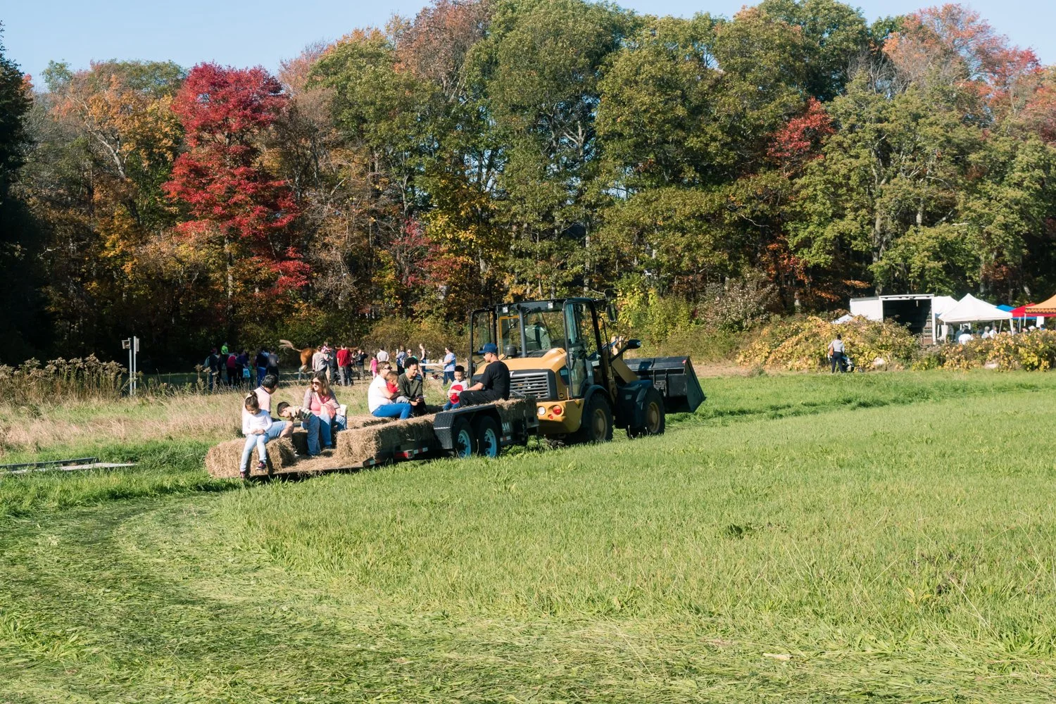 Favorite Fall Activities for Families in the South Shore Boston ...