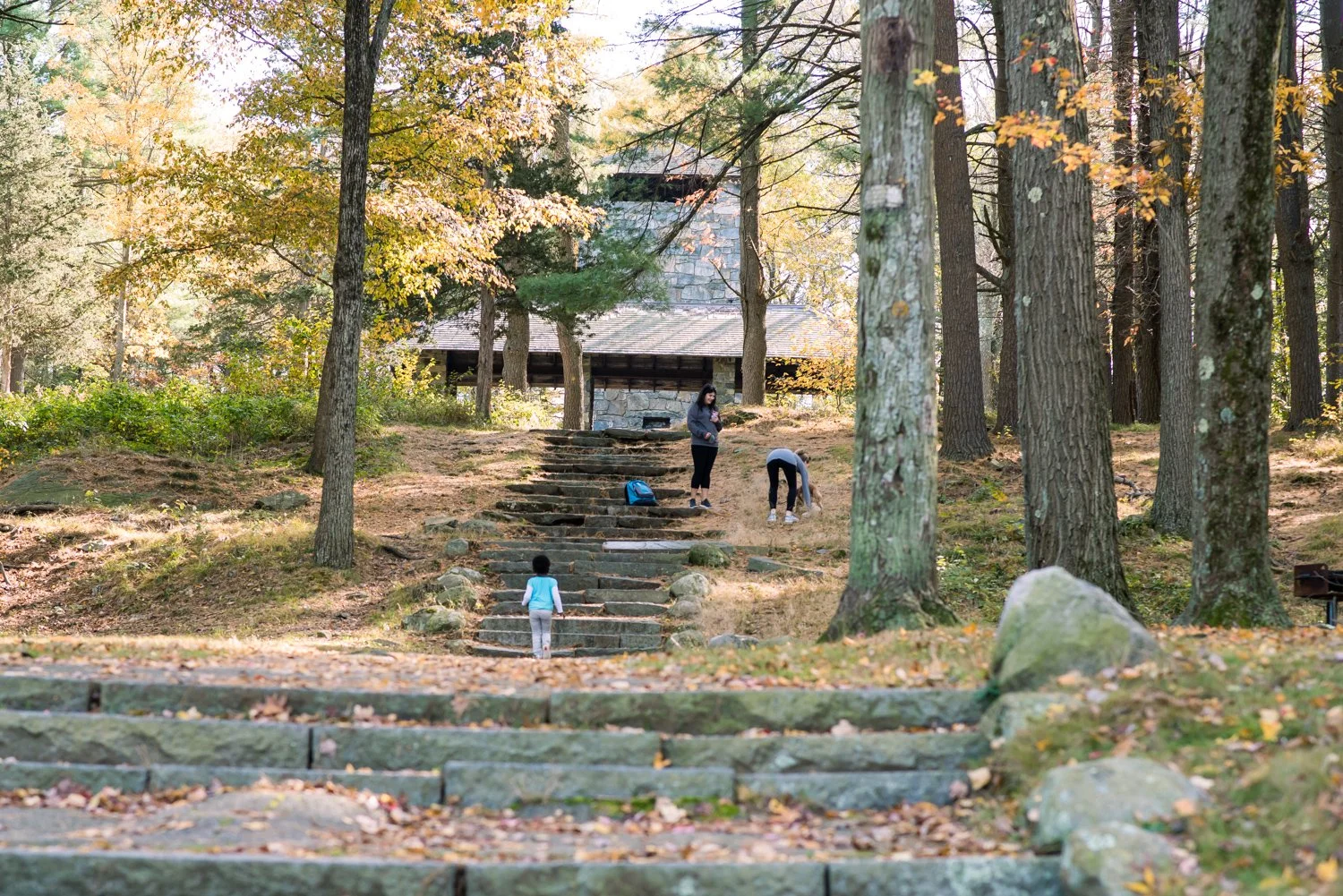Favorite Fall Activities for Families in the South Shore Boston ...