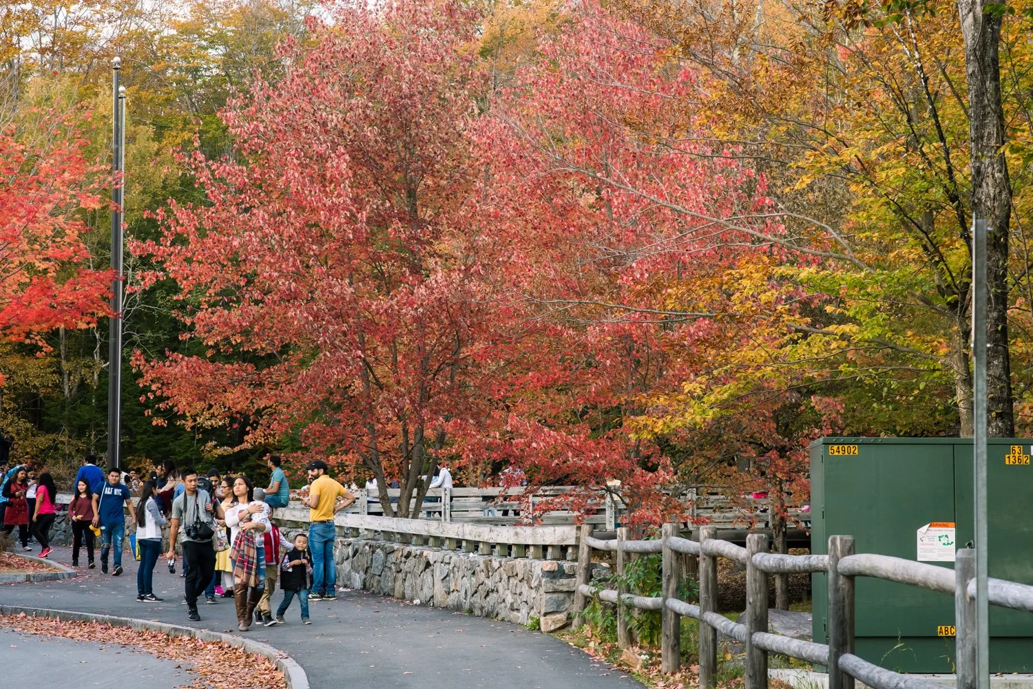 Favorite Fall Activities for Families in the South Shore Boston ...