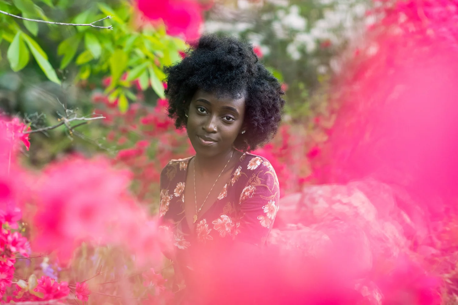 Golden Hour Spring Family Portraits at Eleanor Bradley Estate in Canton ...