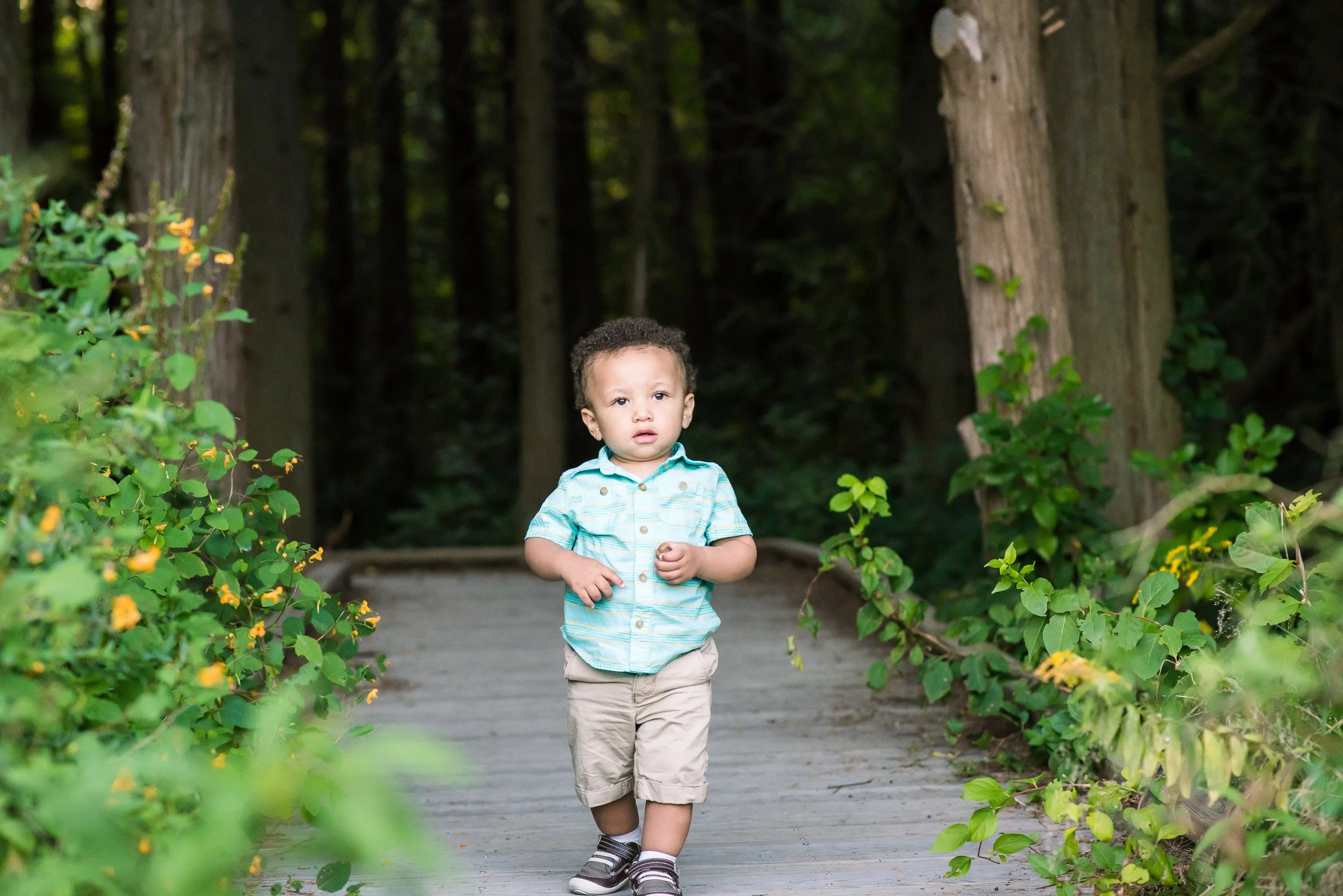 Bryson's 1 year Milestone Session at Powers Farm Randolph MA ...