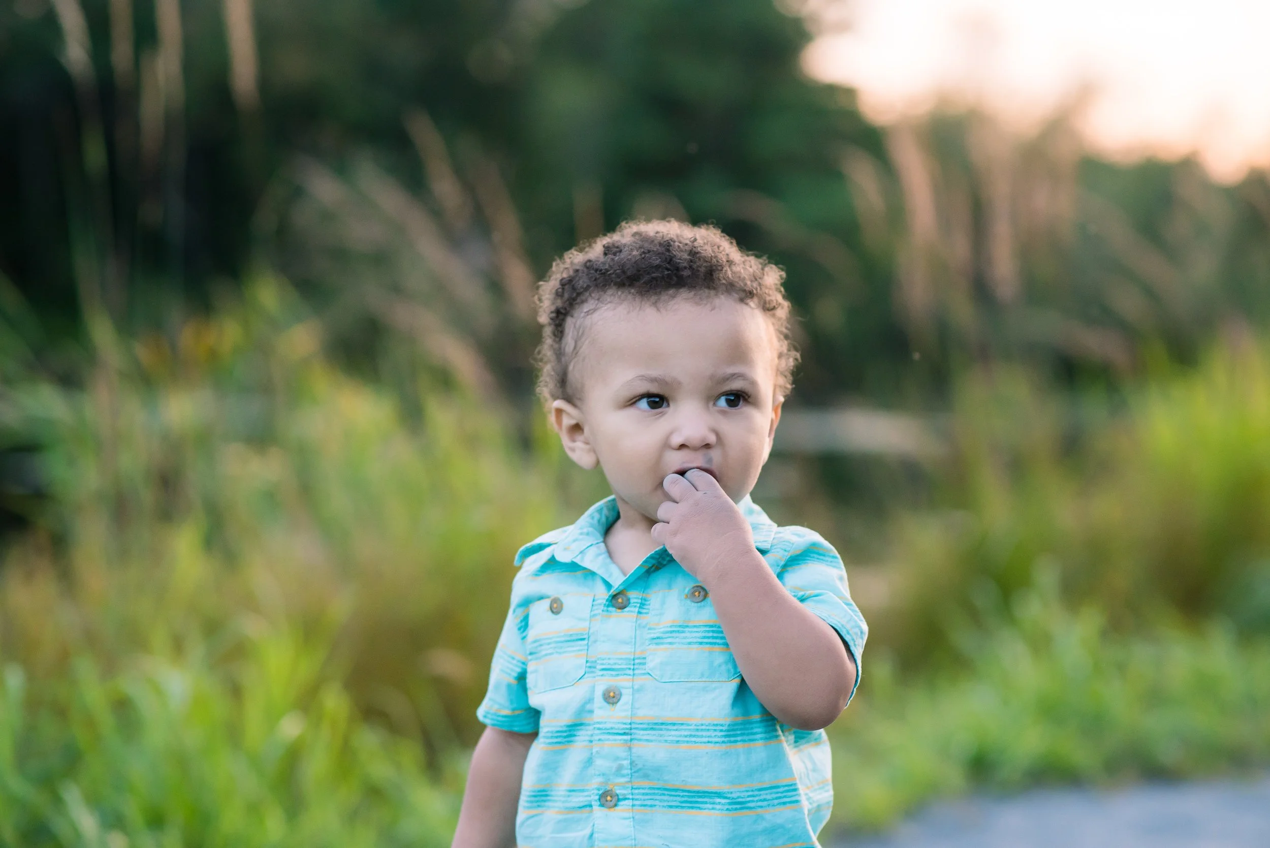 Bryson's 1 year Milestone Session at Powers Farm Randolph MA ...