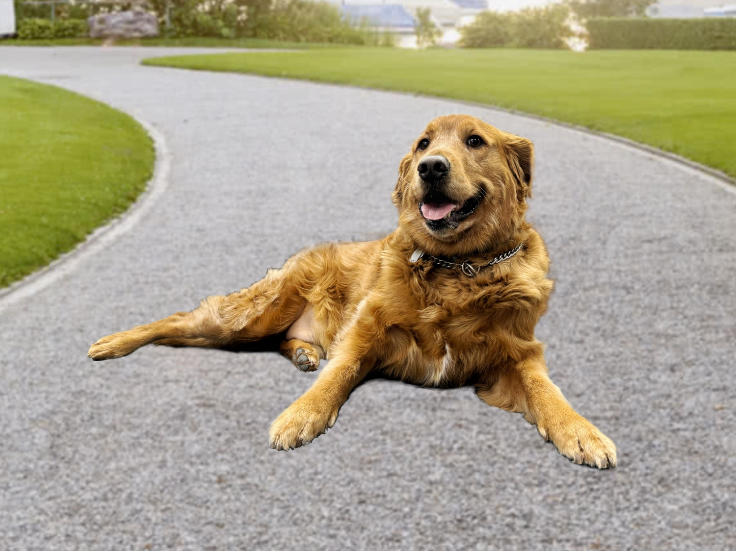 About Us — CRS Insurance