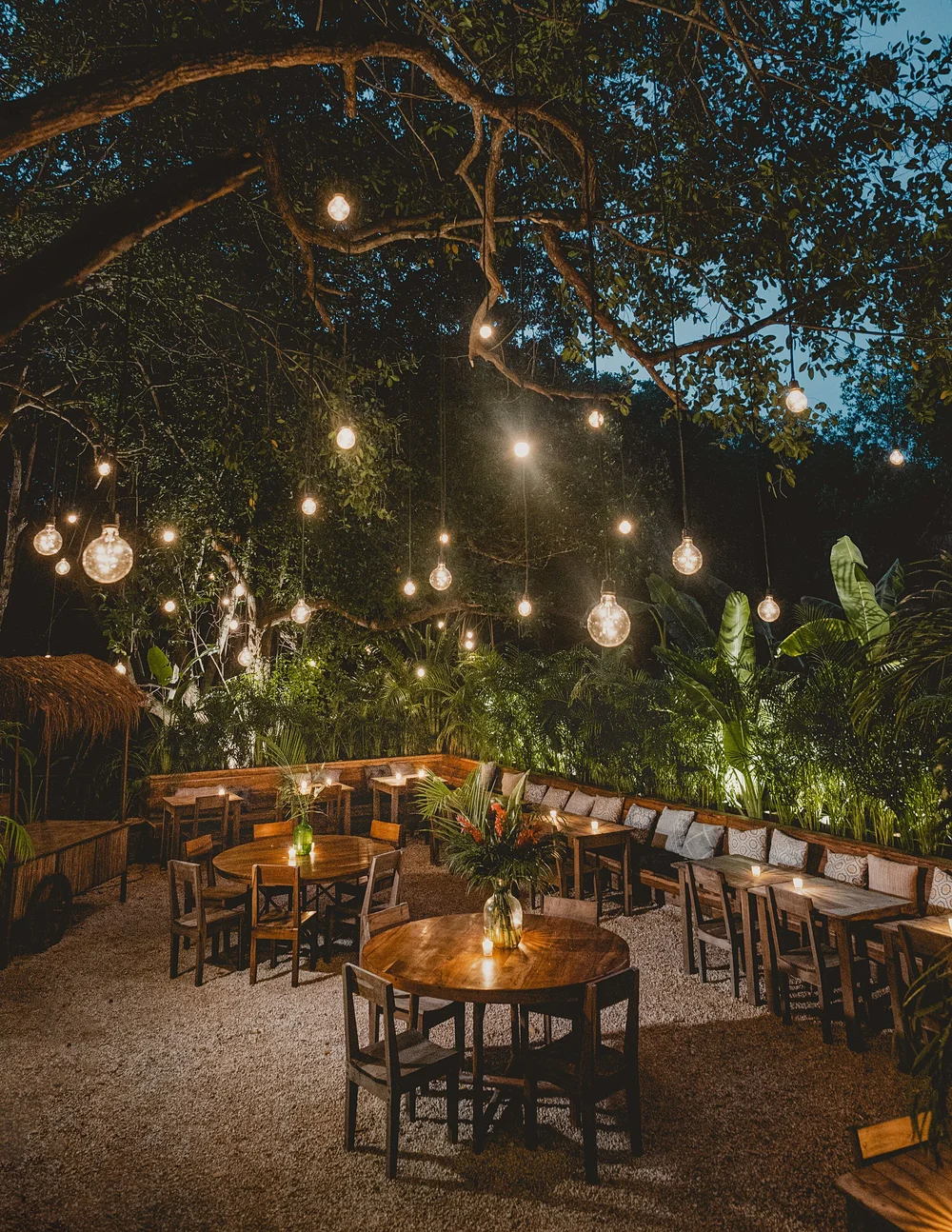 Jungle Gallery — GITANO