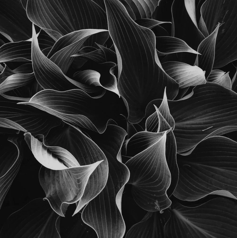 About - Christena Cleveland