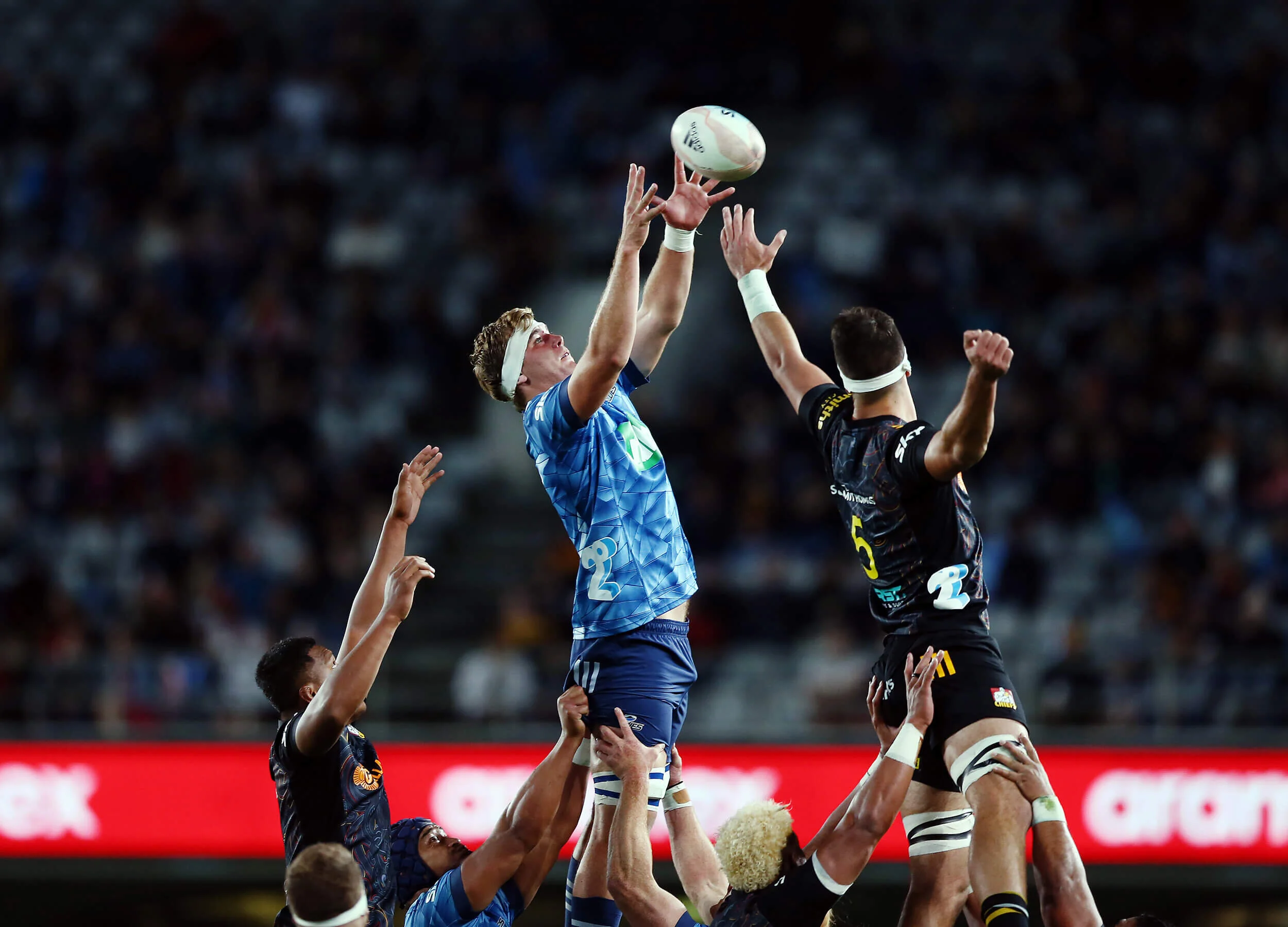 Sam Darry Player Profile — Blues Rugby