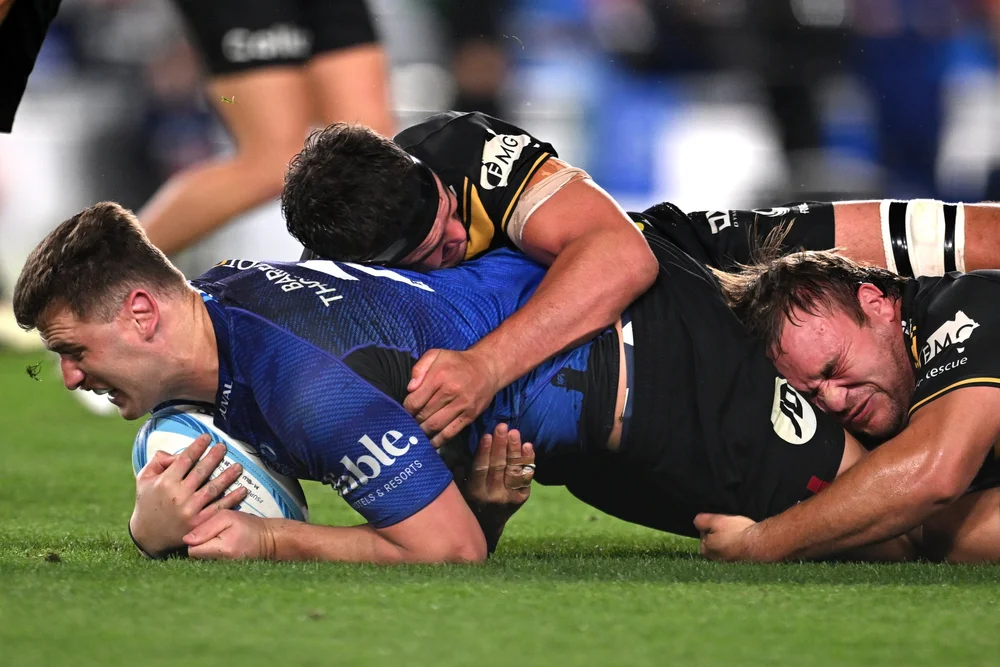 Dalton Papalii Player Profile — Blues Rugby