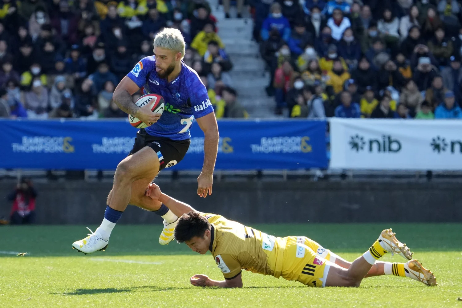 Corey Evans Player Profile — Blues Rugby