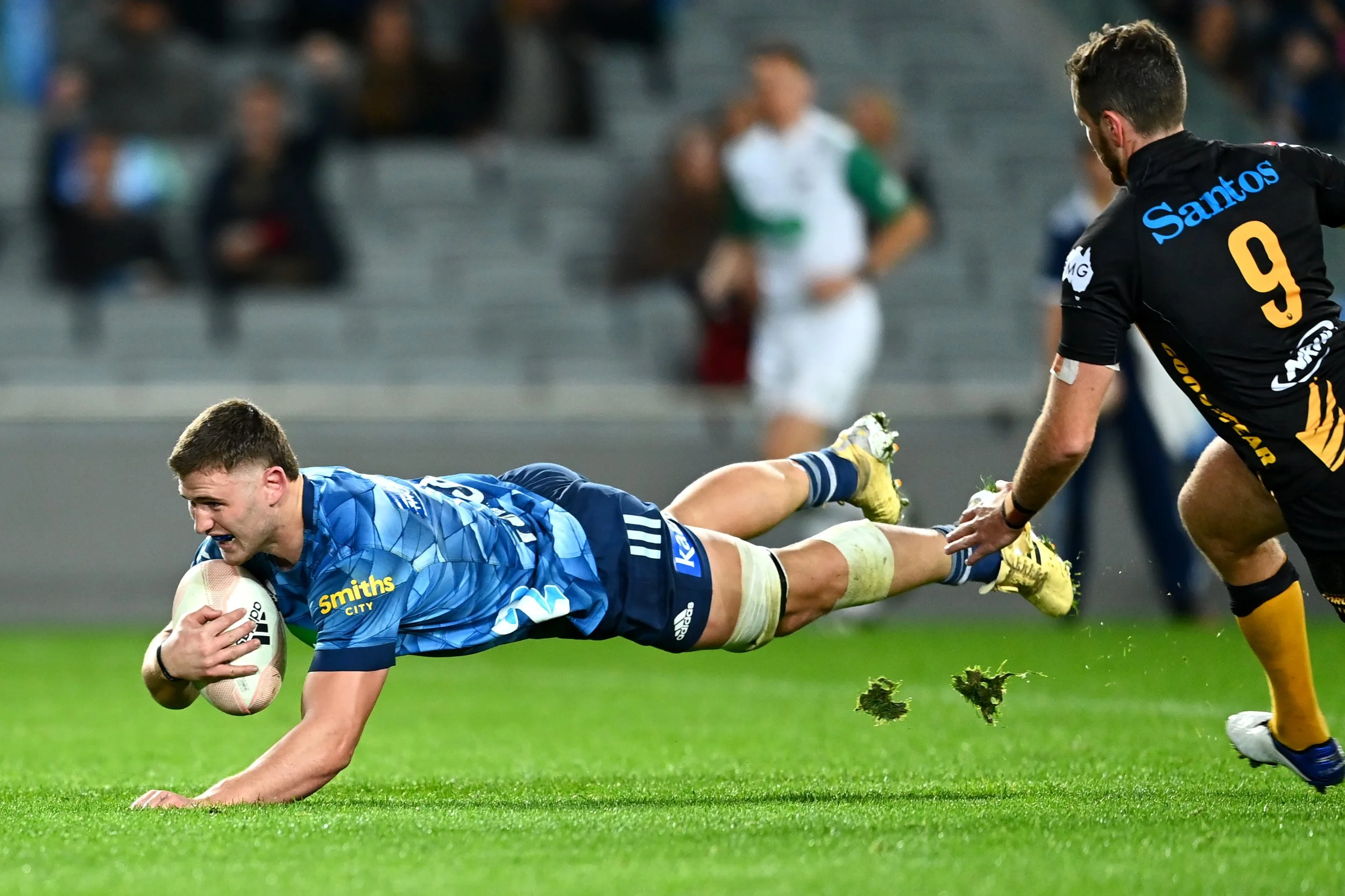 Dalton Papalii Player Profile — Blues Rugby