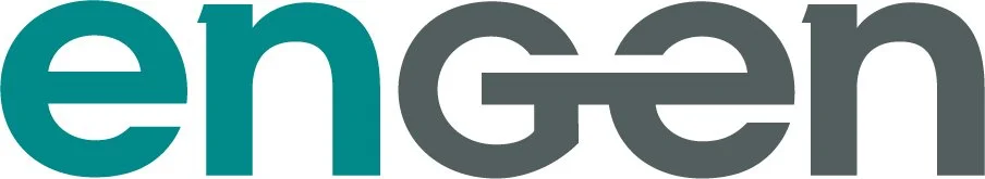 Energy Generation Leadership Program (EnGen) — Energy Leadership Institute